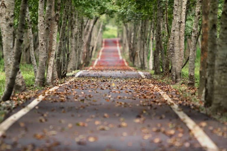 1 Mila Ile To Km Metr w Cm Kalkulator Online 1 Mila Ile To Km Metr w Cm Kalkulator Online